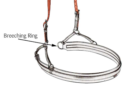 Pronto Avenue | 25mm Breeching Straps (Universal)