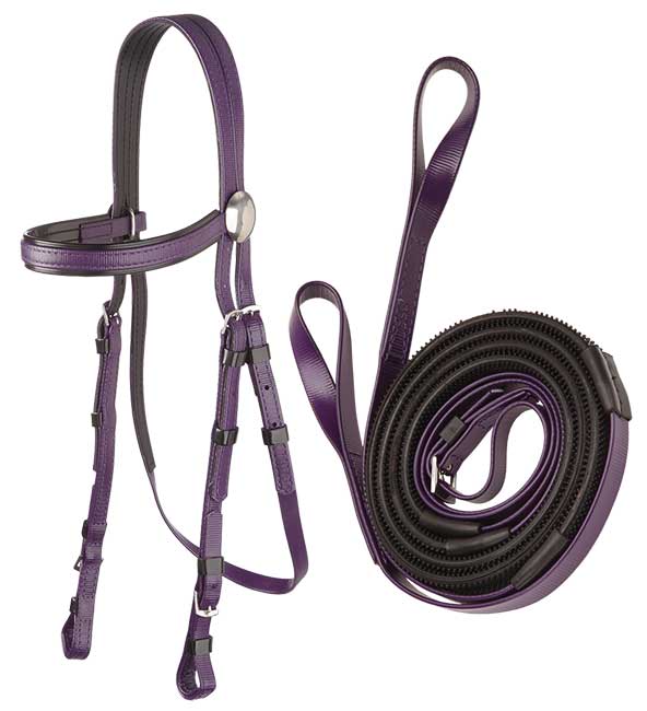 Pronto Avenue | Race Bridle & Loop Reins (Black Trim)