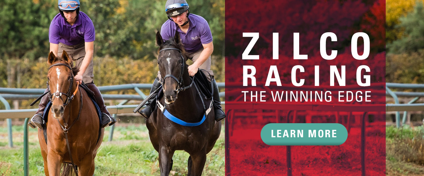 Pronto Avenue | Home